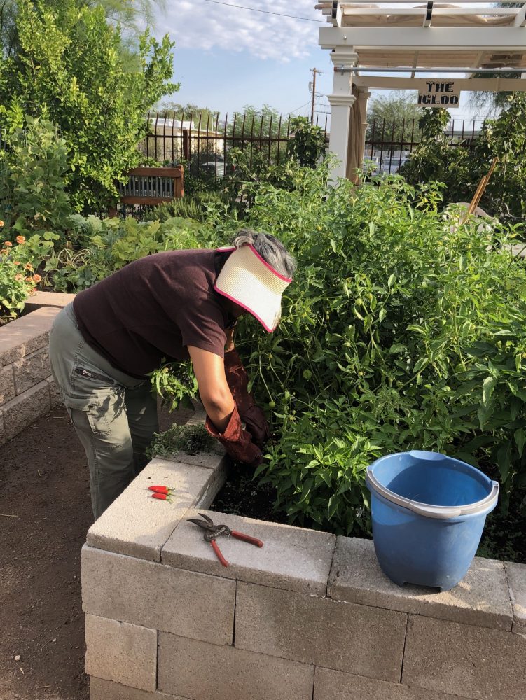 Gardening Resources - The Garden Kitchen