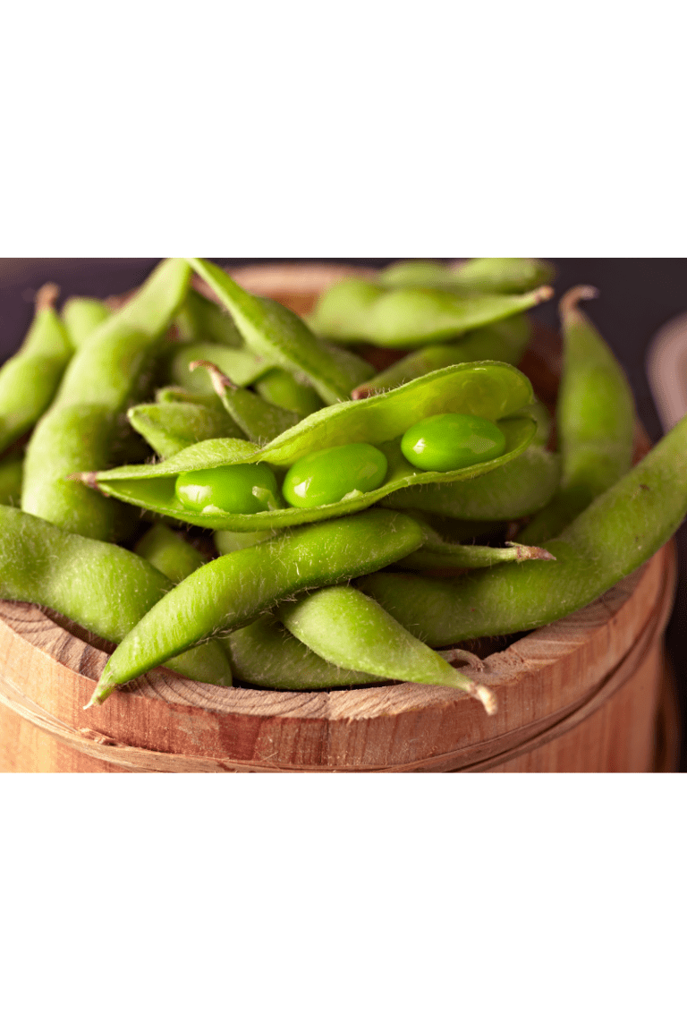 Edamame - The Garden Kitchen